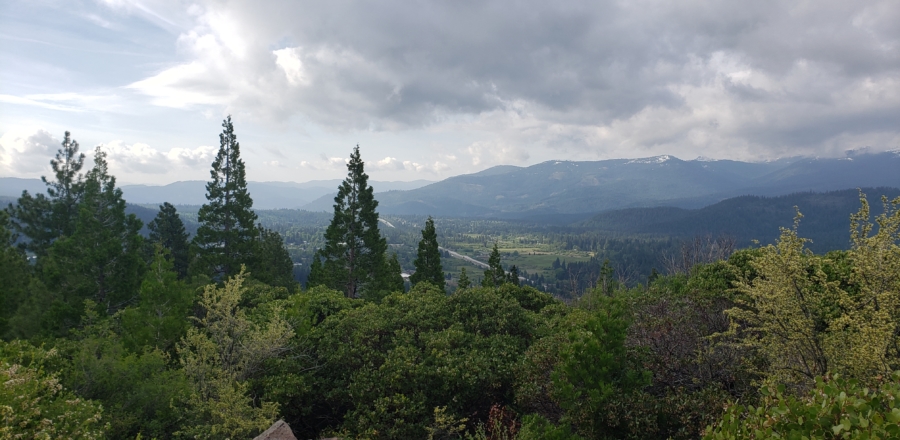 Spring Hill Trail – Mount Shasta Trail Association