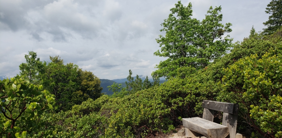 Spring Hill Trail – Mount Shasta Trail Association