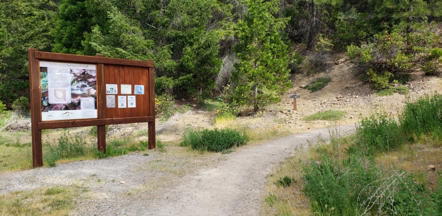 Spring Hill Trail – Mount Shasta Trail Association