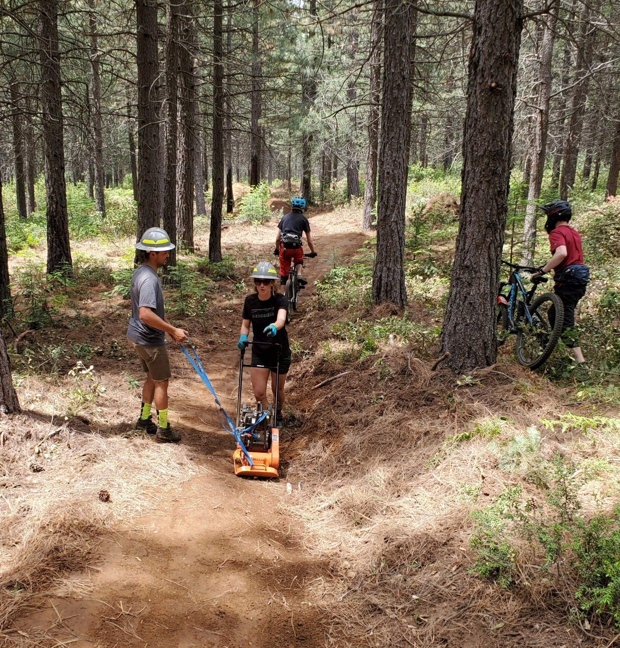 Gateway II Trail Work Underway – Mount Shasta Trail Association