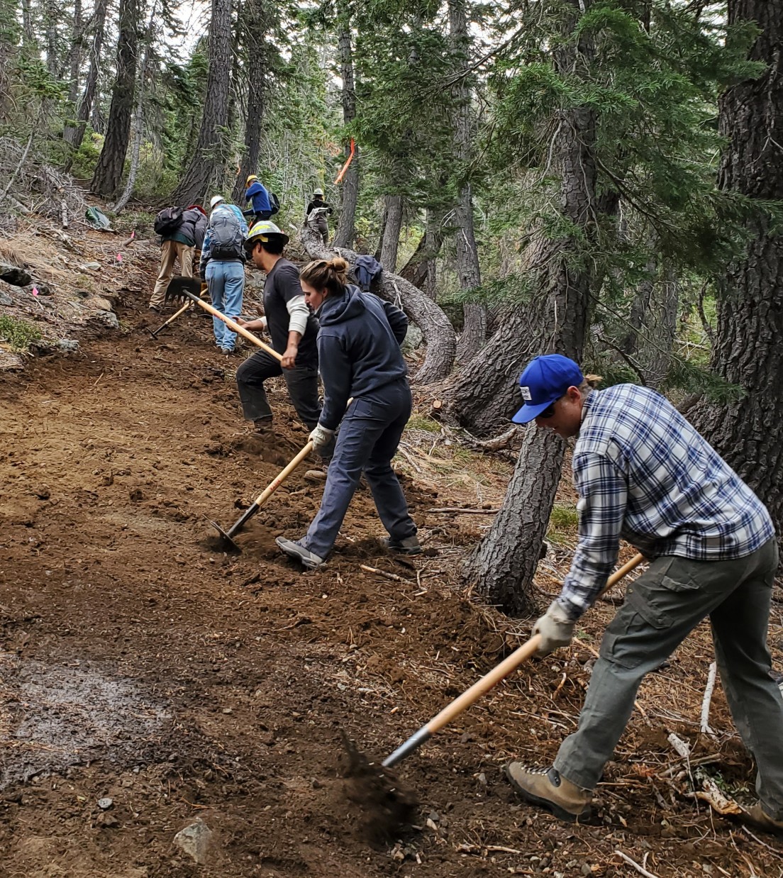 Volunteer – Mount Shasta Trail Association