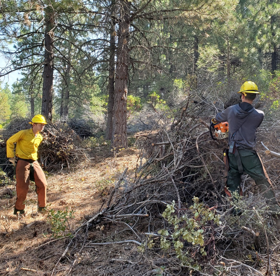 Big Thank You to USFS Fire Crews – Mount Shasta Trail Association