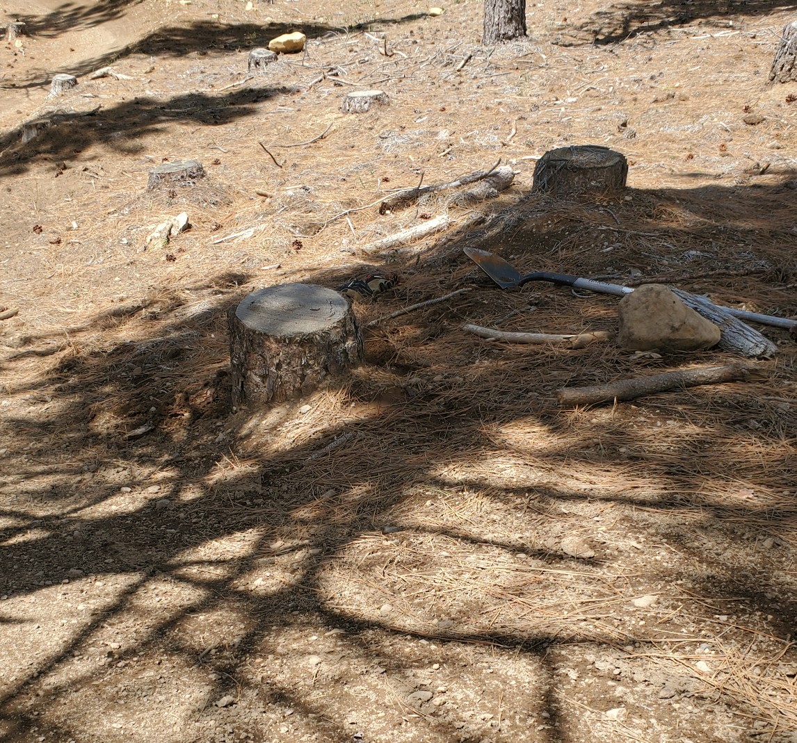 Hazard Stump Removed from Lemurian Delirium – Mount Shasta Trail ...