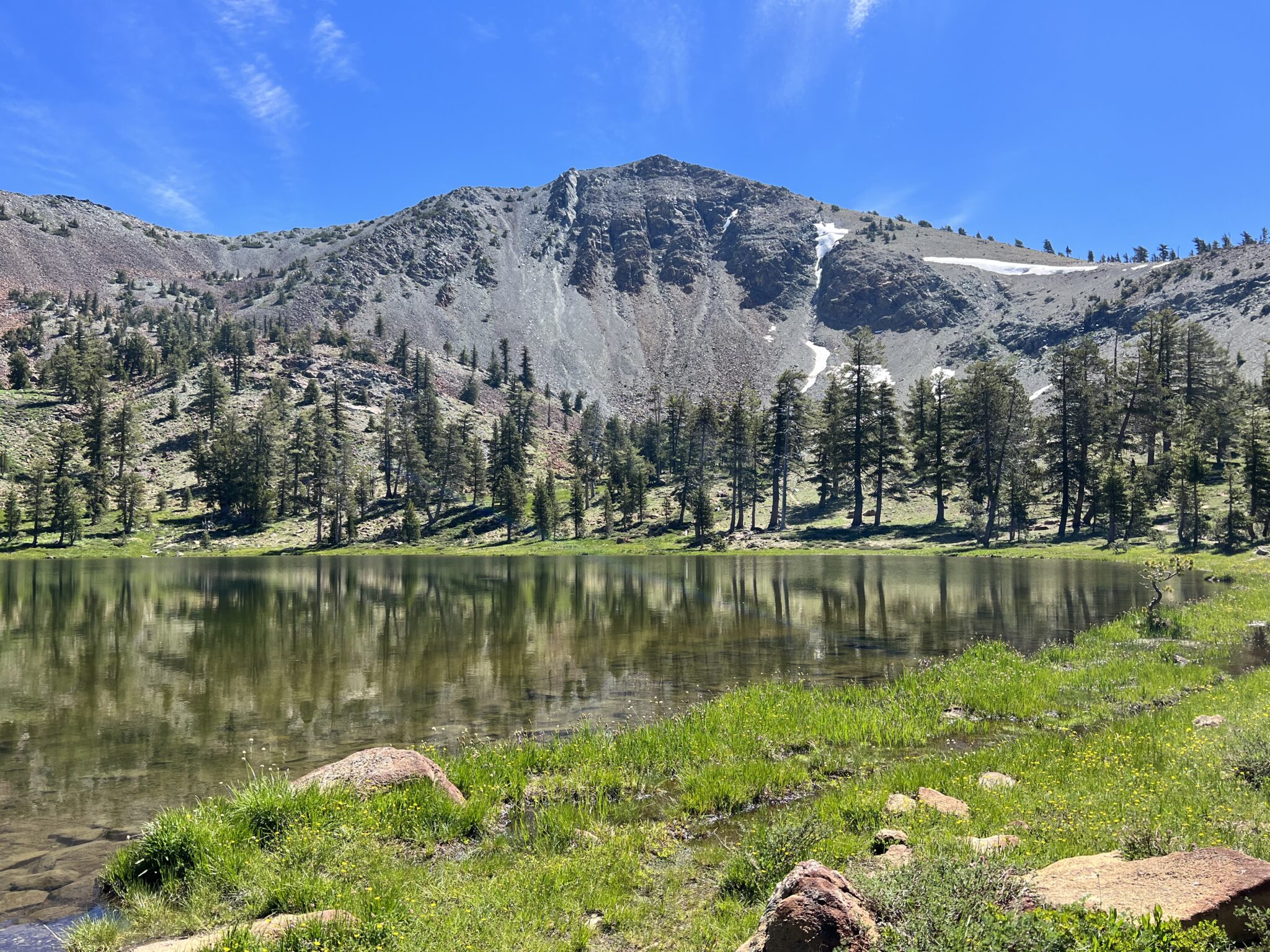 Mount Eddy — A Great Trail Challenge Hike – Mount Shasta Trail Association