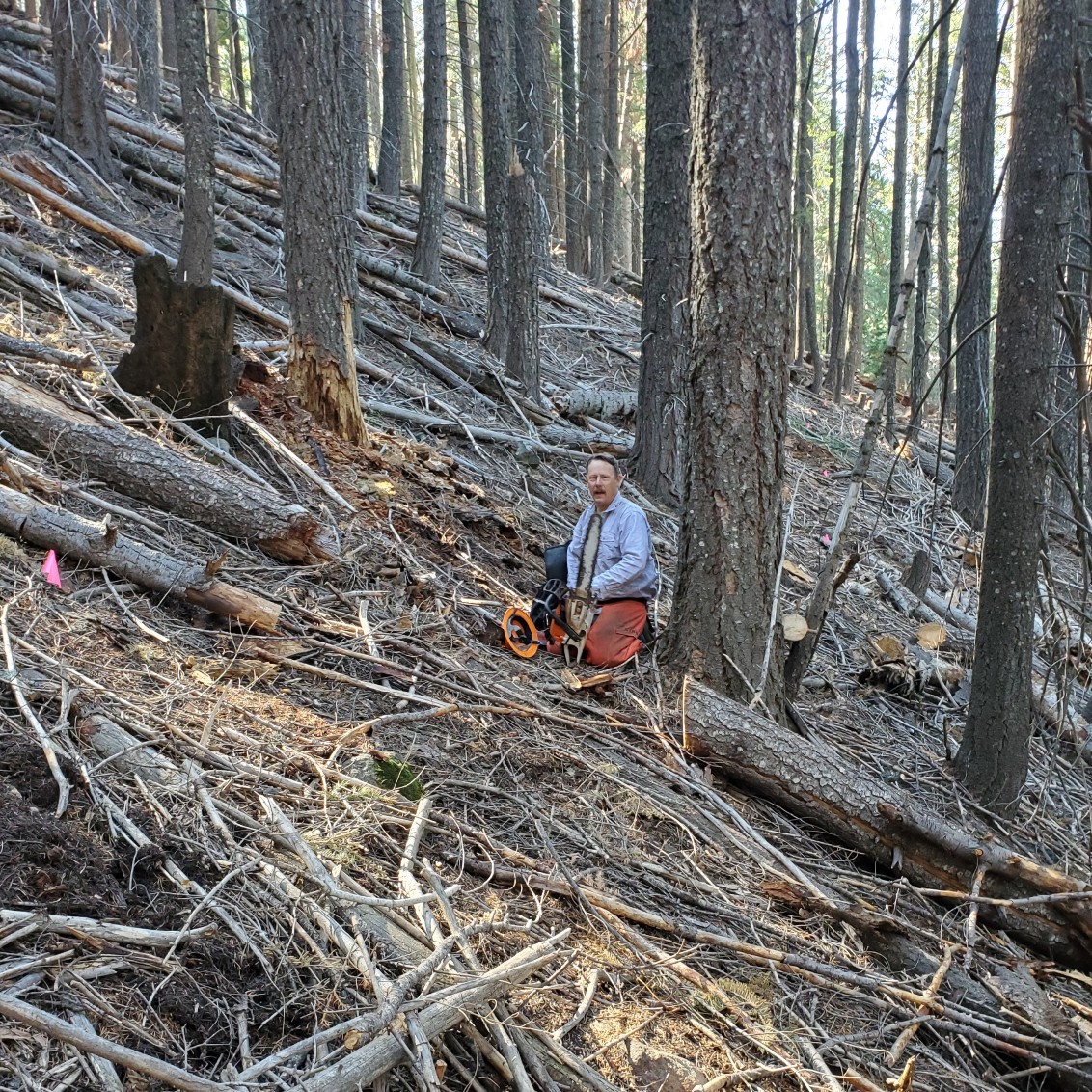 Don’t Kill The Old Guy on the Chainsaw Crew – Mount Shasta Trail ...
